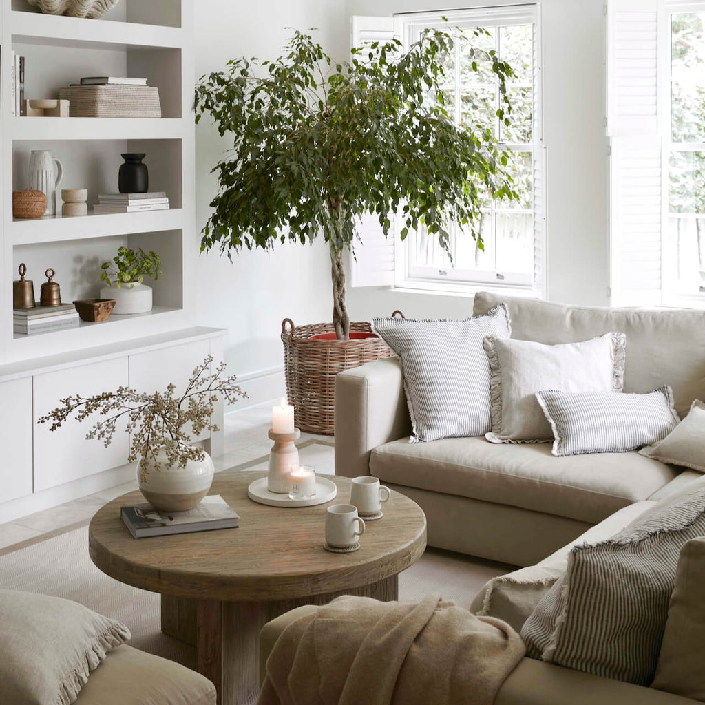 Pantone Colour of The Year 2026 | Layered Lounge